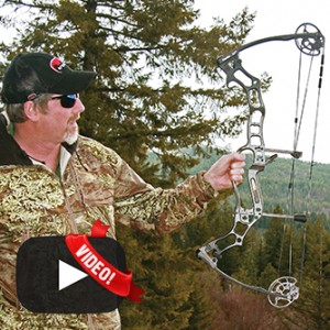 Bow Review: APA Archery Black Mamba 31