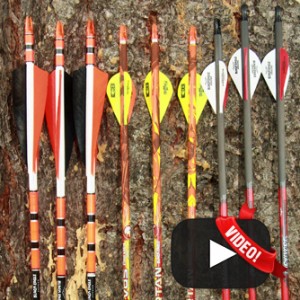 Beman ICS Arrows - Beman Hunting Arrows - ICS Technology