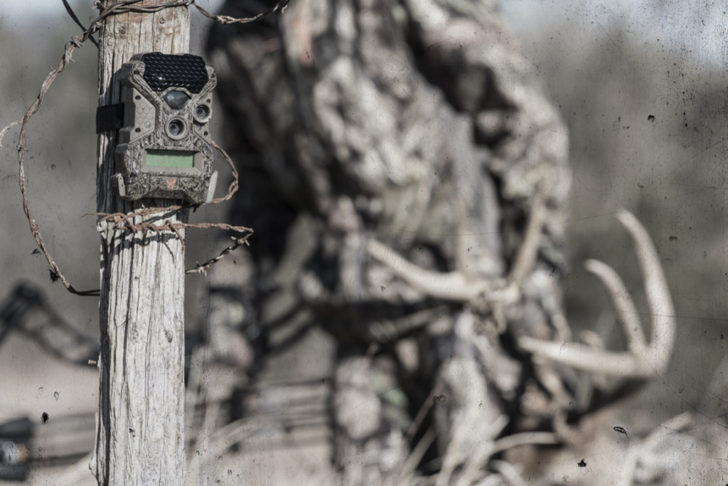 Wildgame Innovations' Rival Camera Models: Performance and Value ...