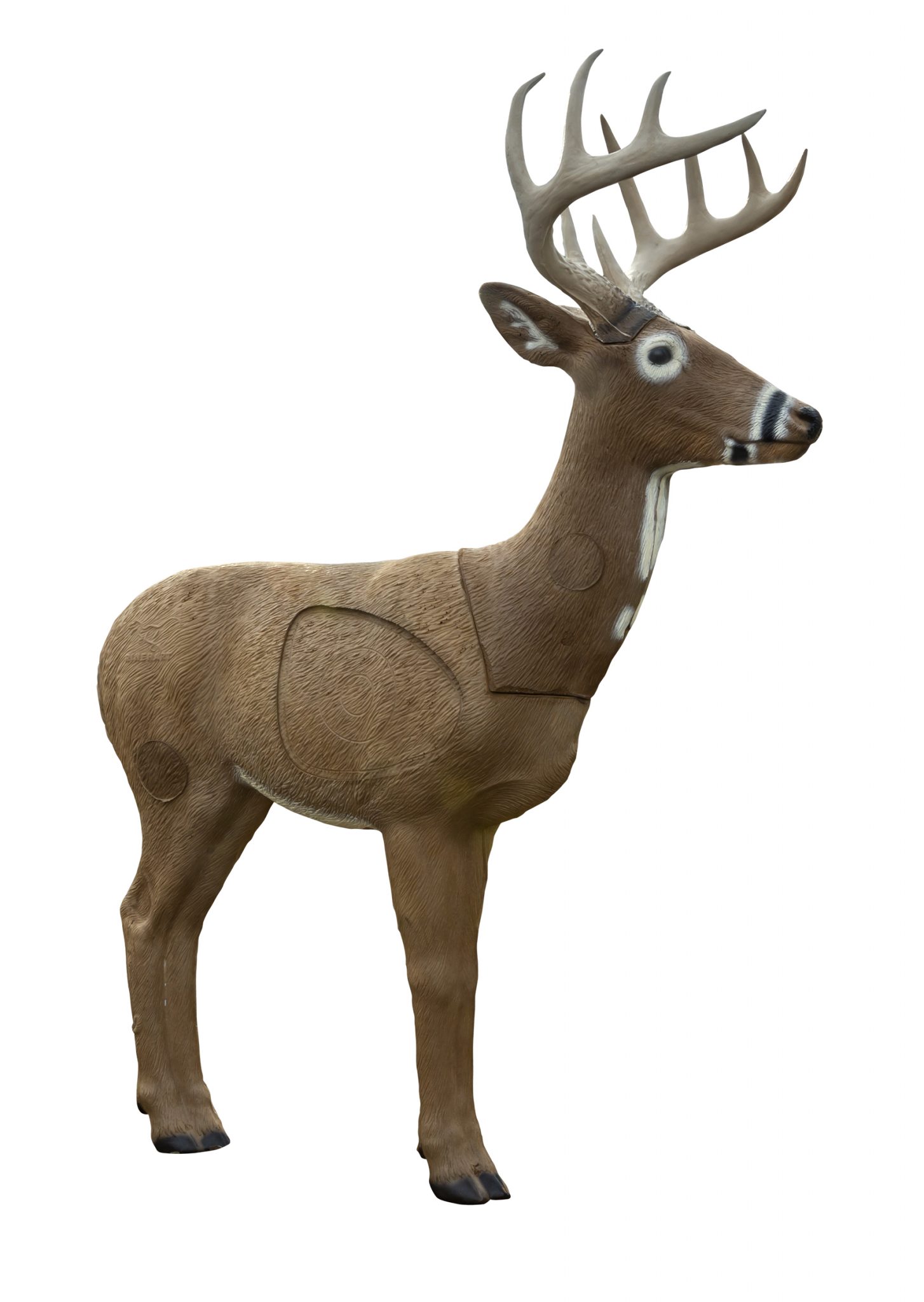 Rinehart Targets Introduces Three New 3D Targets for 2019
