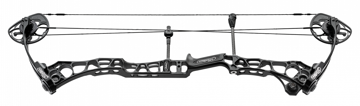 2020 Bow Releases