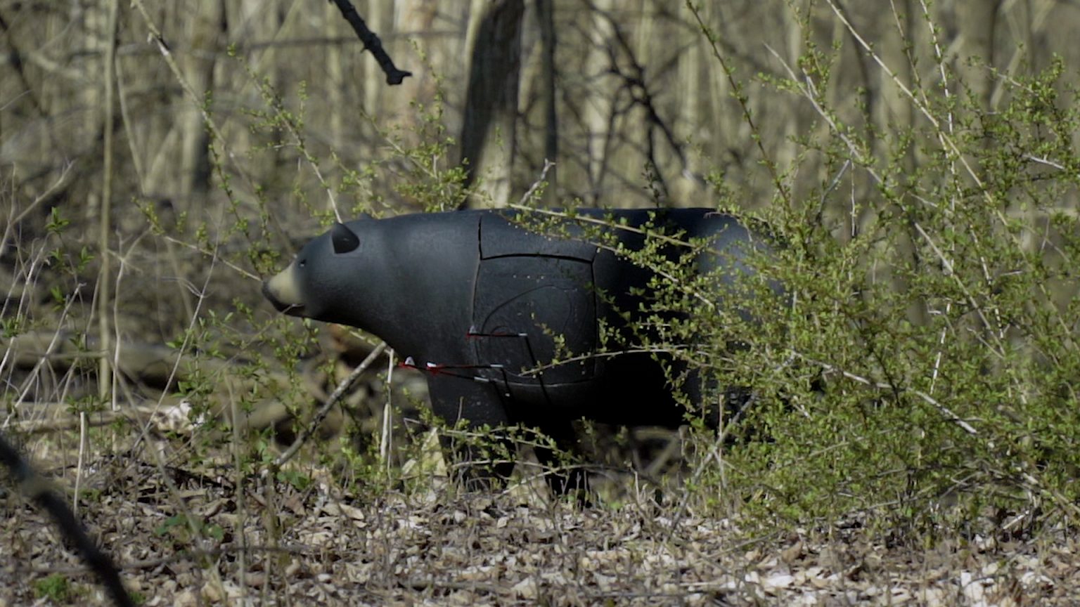 GlenDel 3D Bear Target - New for 2024