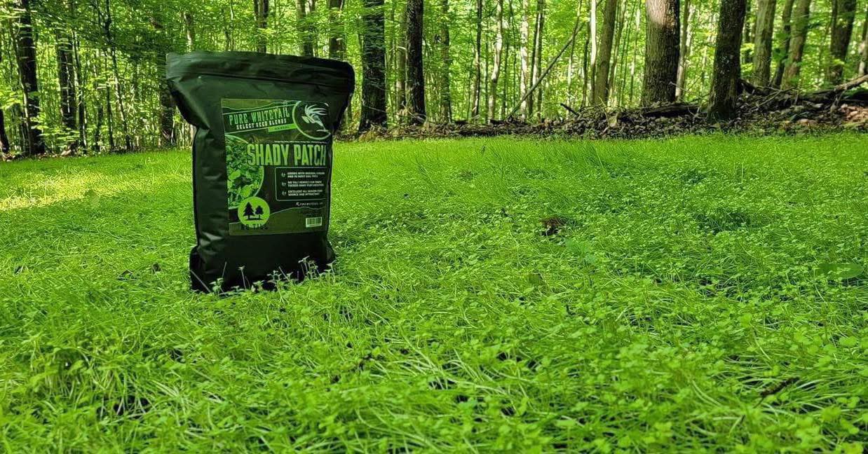 Pure Whitetail’s Shady Patch Fills a Gap in the Food Plot Category